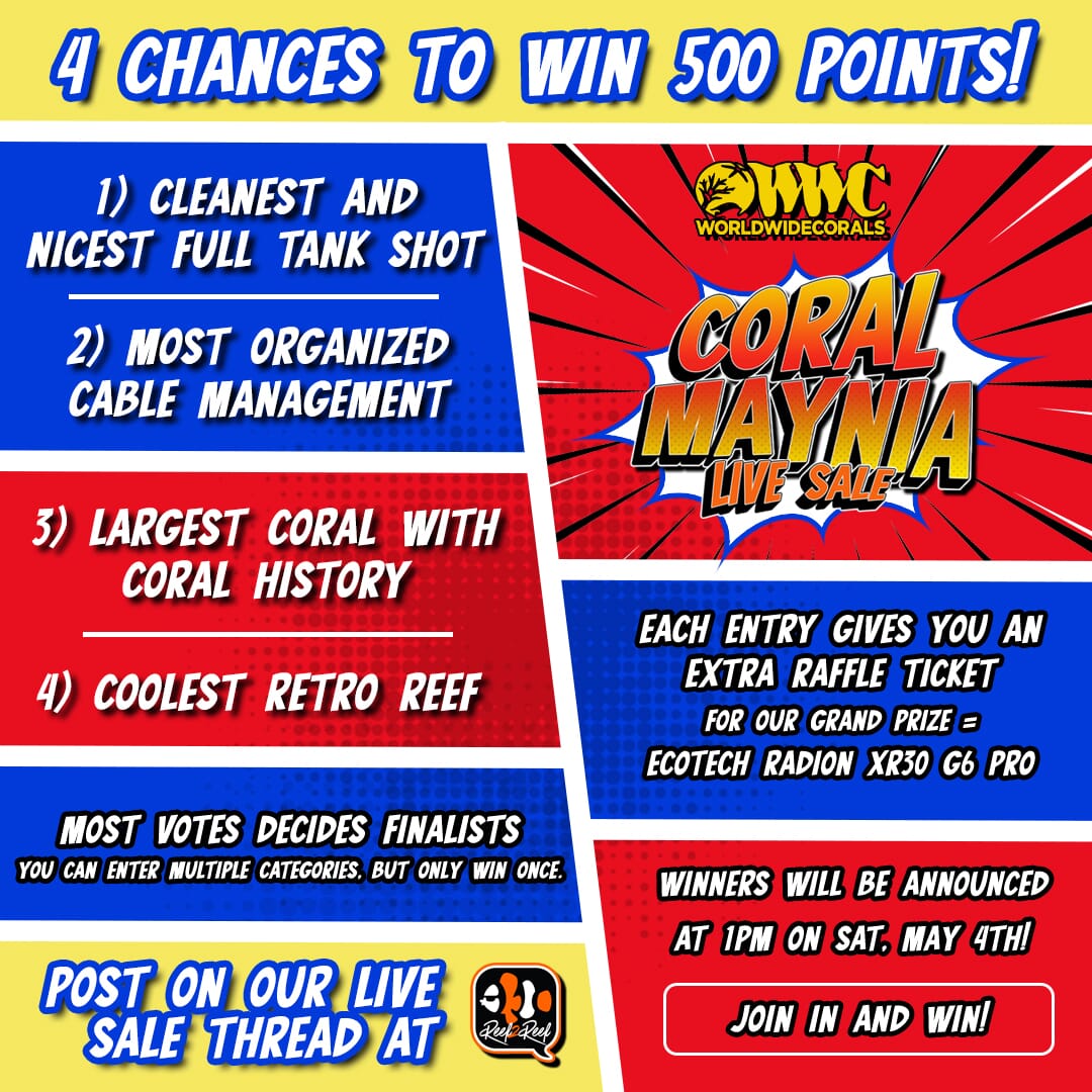 Coral Maynia Live Sale 2024 3000+ Corals Up To 80% Off!!! | Reef2Reef