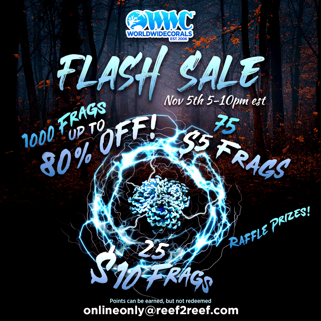 WWC's Fall Flash Sale is Here! 1000 frags at up to 80% off! Come join ...